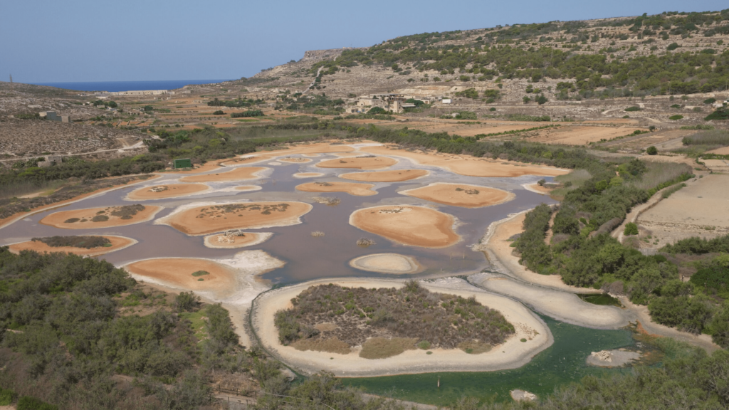 Ghadira Bird Sanctuary - Mellieha Malta - mellieha.com
